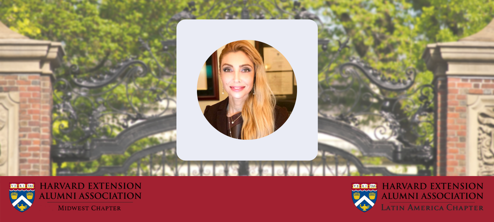 Alumni Spotlight: Human Experience Story | Harvard Extension Alumni ...